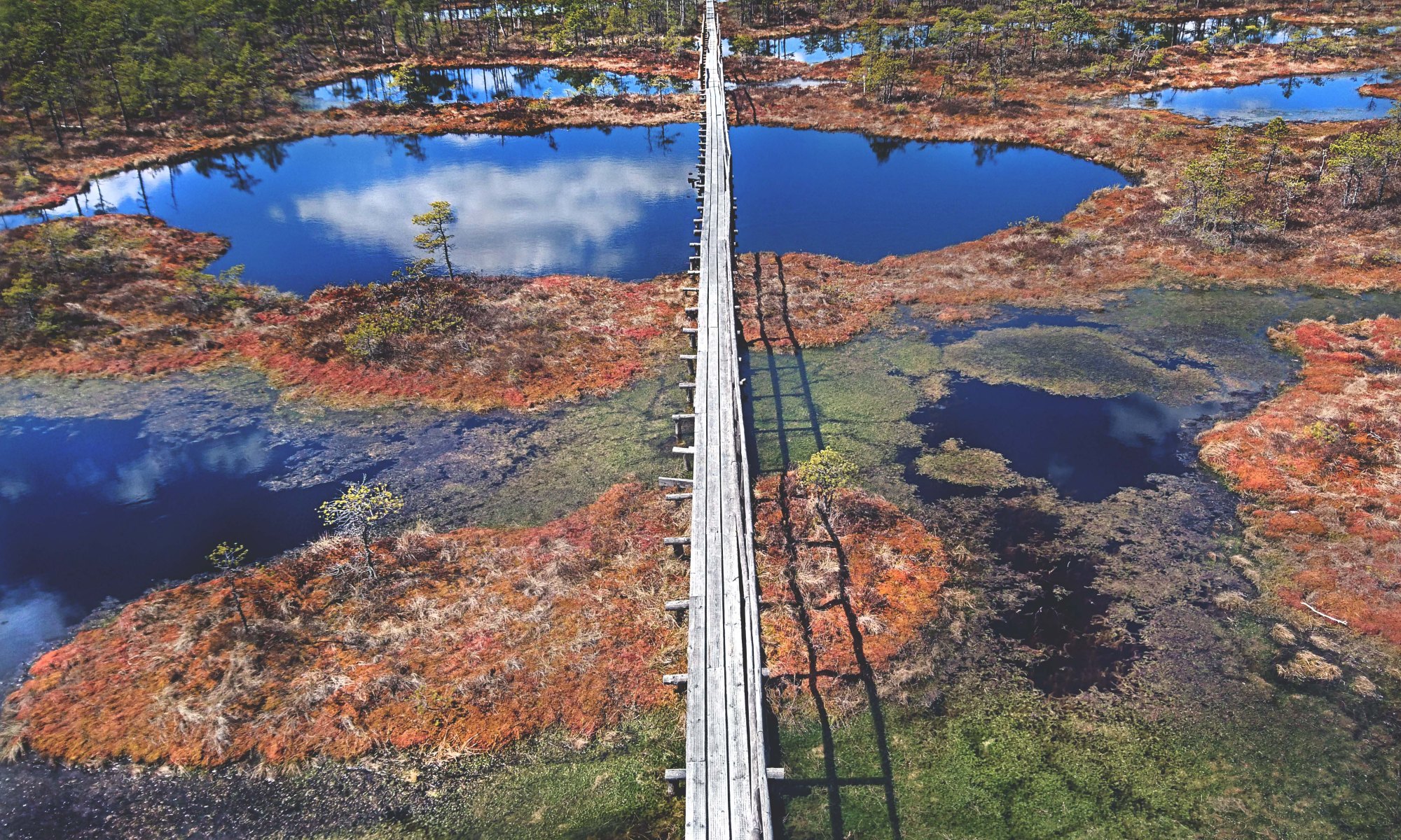 Männikjärve raba matkarada – Diana fotoblogi