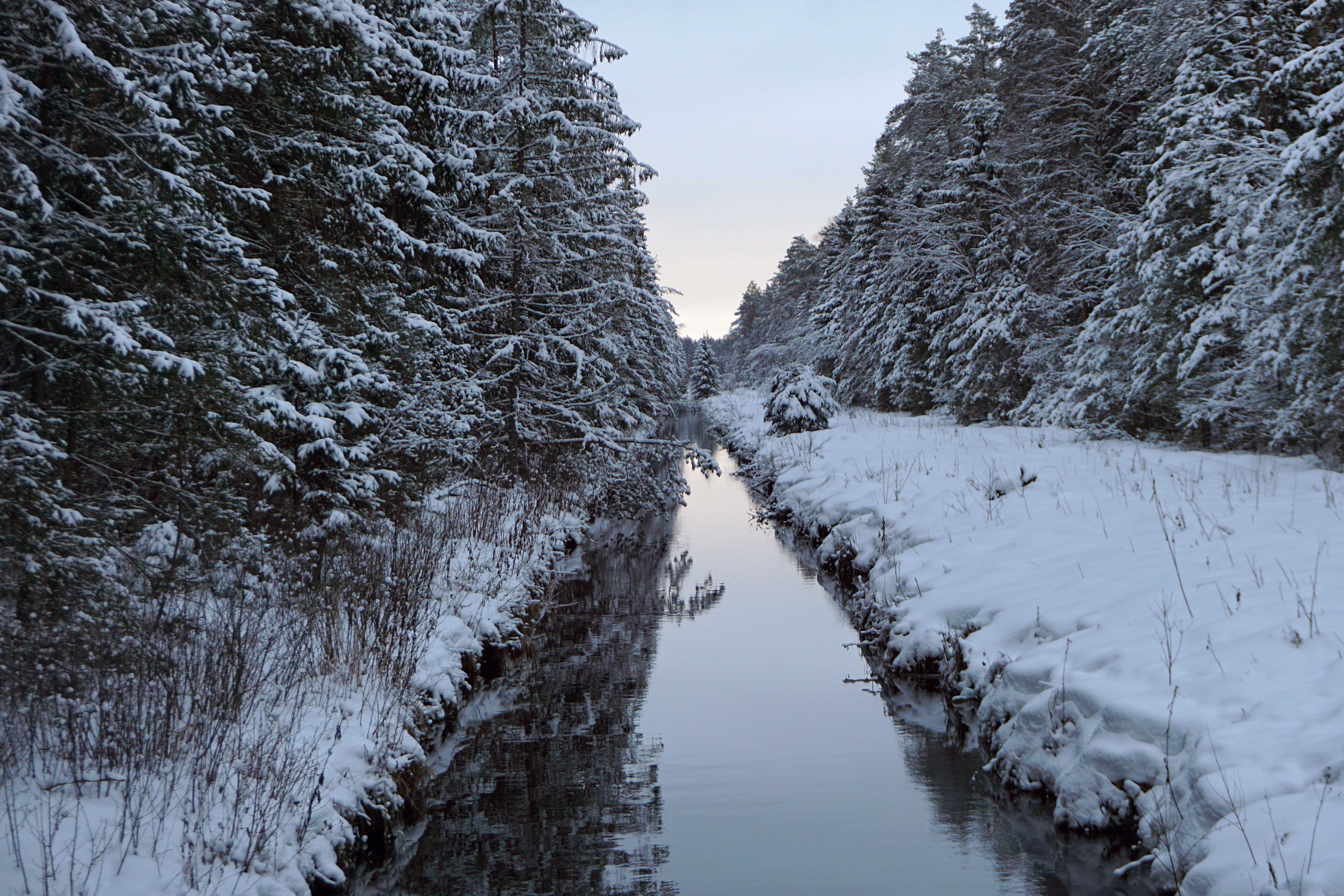 Endla järve matkarada – Diana fotoblogi